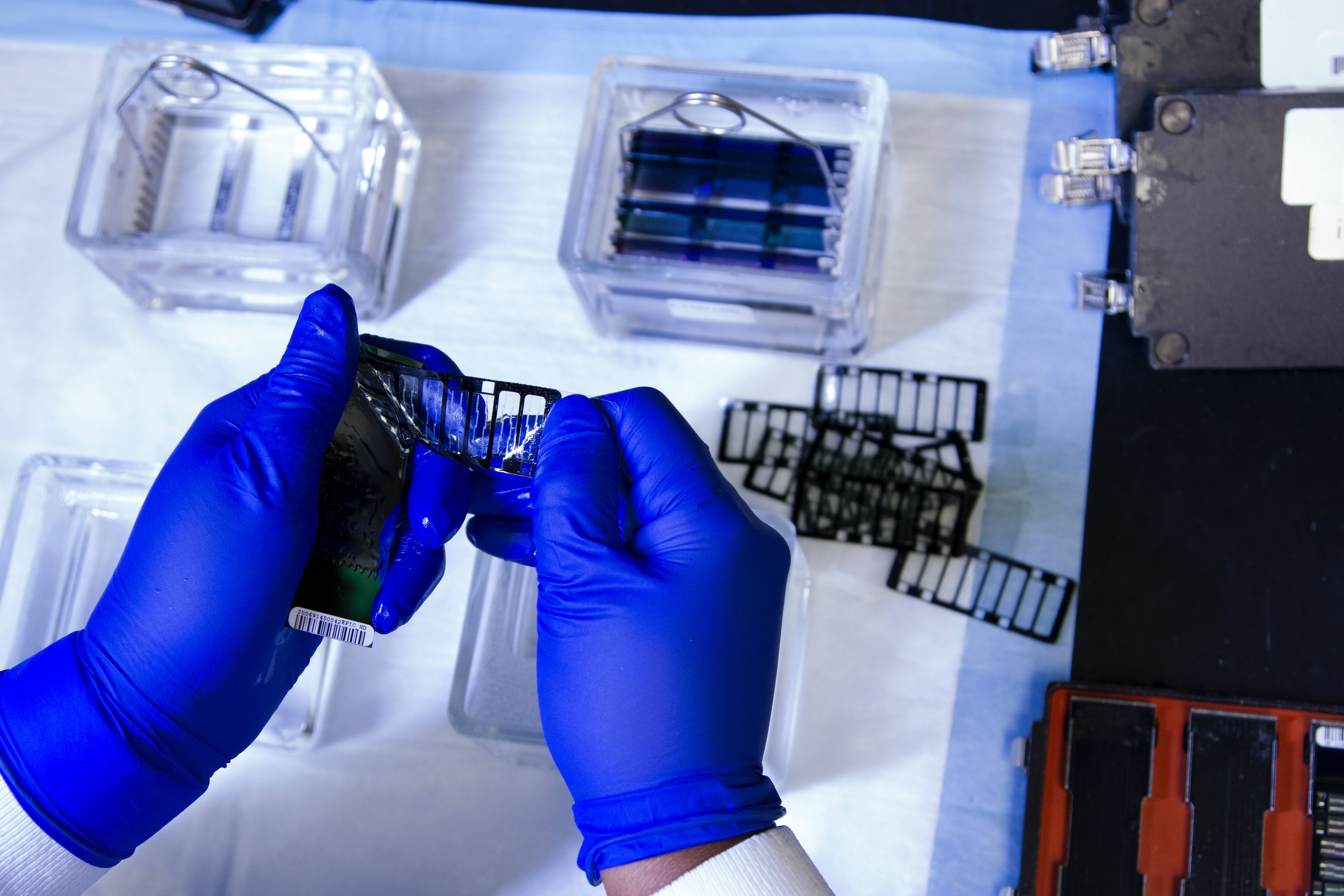Novel Antimicrobial Materials, with Broad-Spectrum Activity and ...