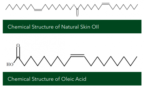 Soybean Oil Structure